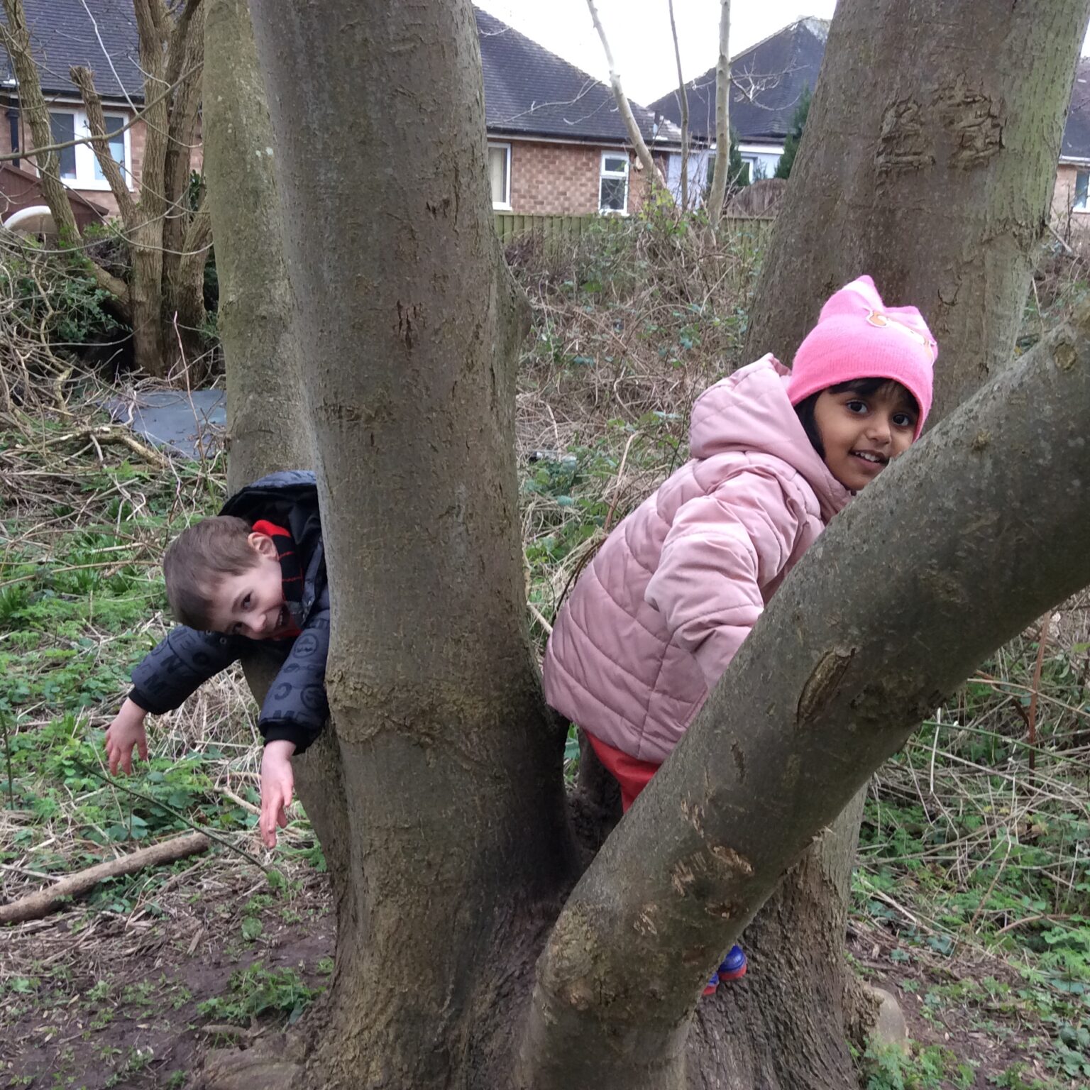 Climbing trees, making potions and having fun at Forest School ...