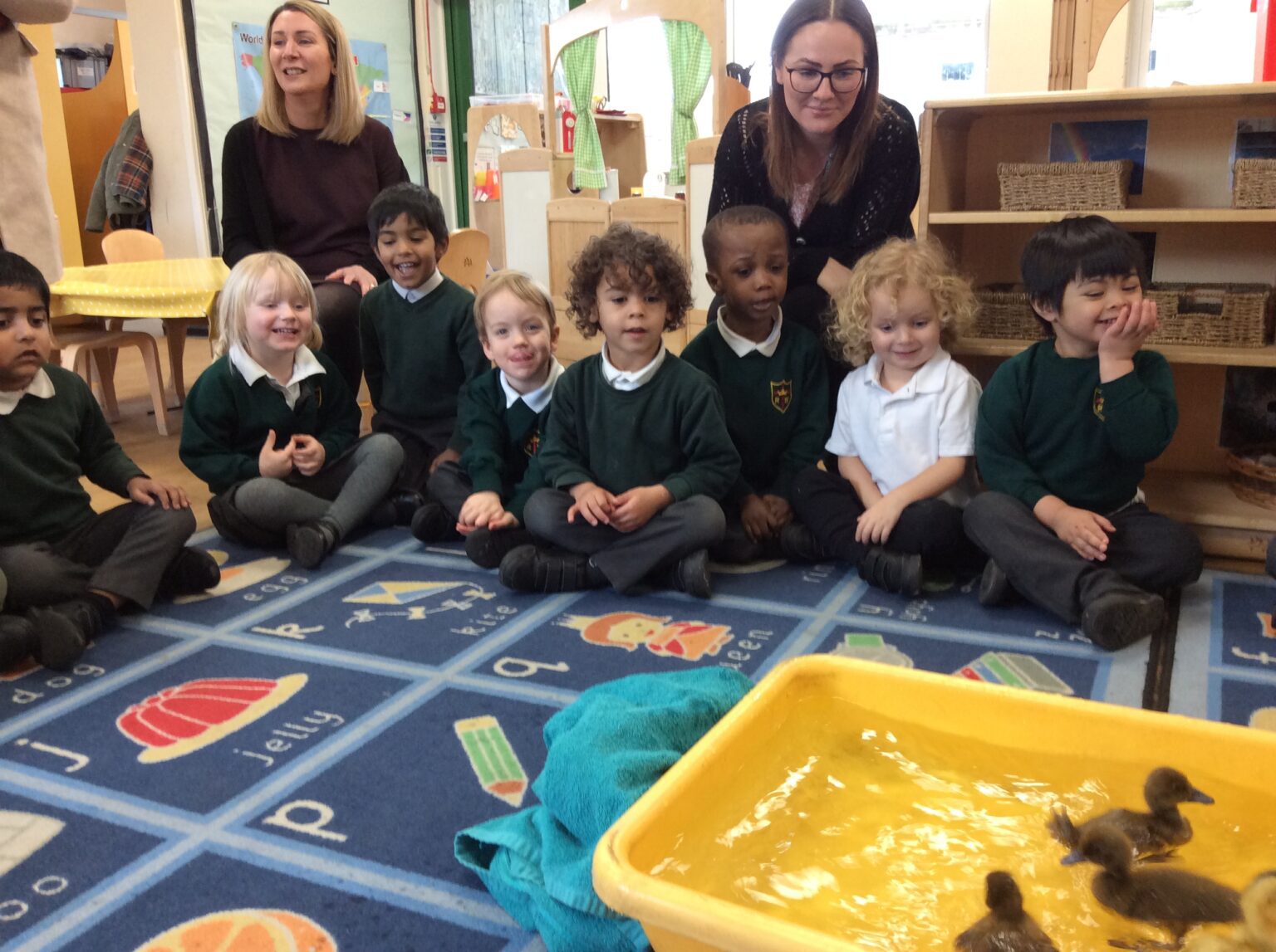 Our Fluffy-feathered, splashy visitors! - Blessed Robert Widmerpool ...