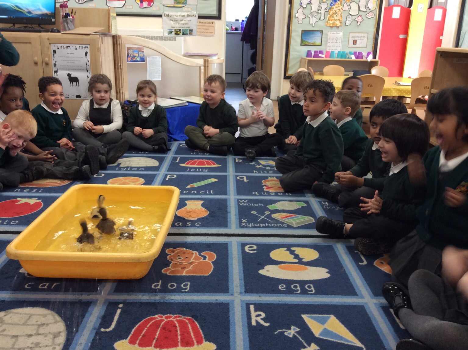 Our Fluffy-feathered, splashy visitors! - Blessed Robert Widmerpool ...