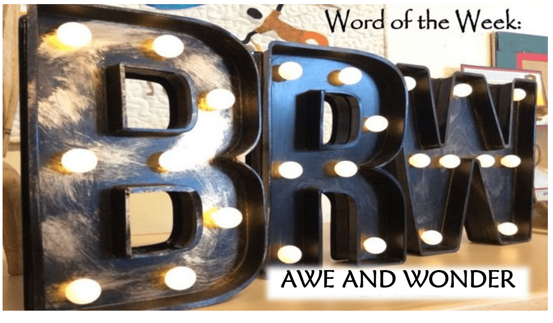 Word of the Week - Awe and Wonder - Blessed Robert Widmerpool Catholic ...